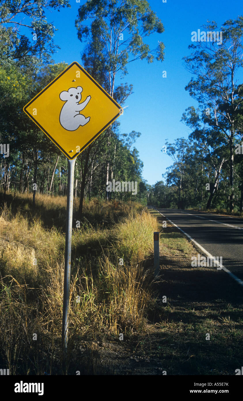 road warning sign for koala bears, Australia Stock Photo - Alamy