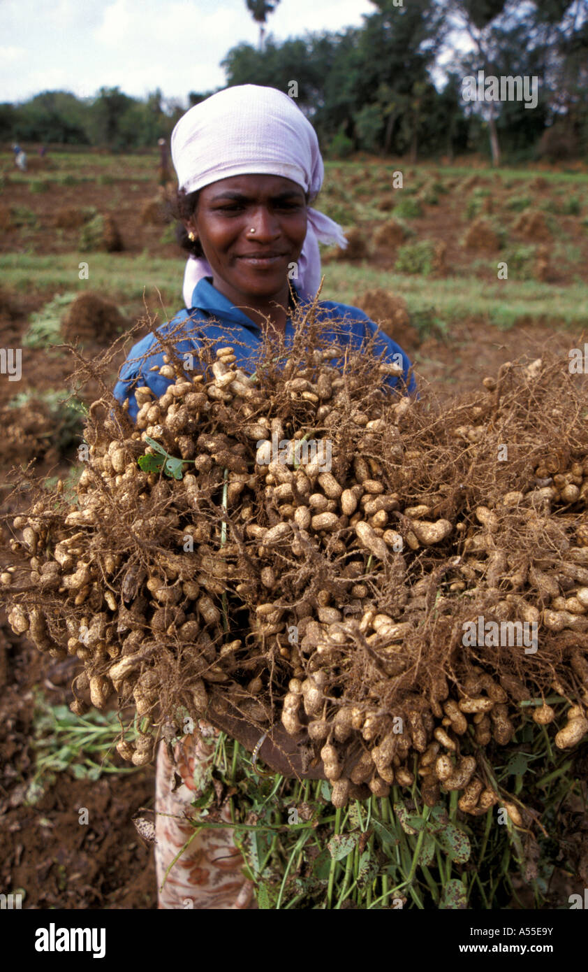 Tanil hi-res stock photography and images - Alamy