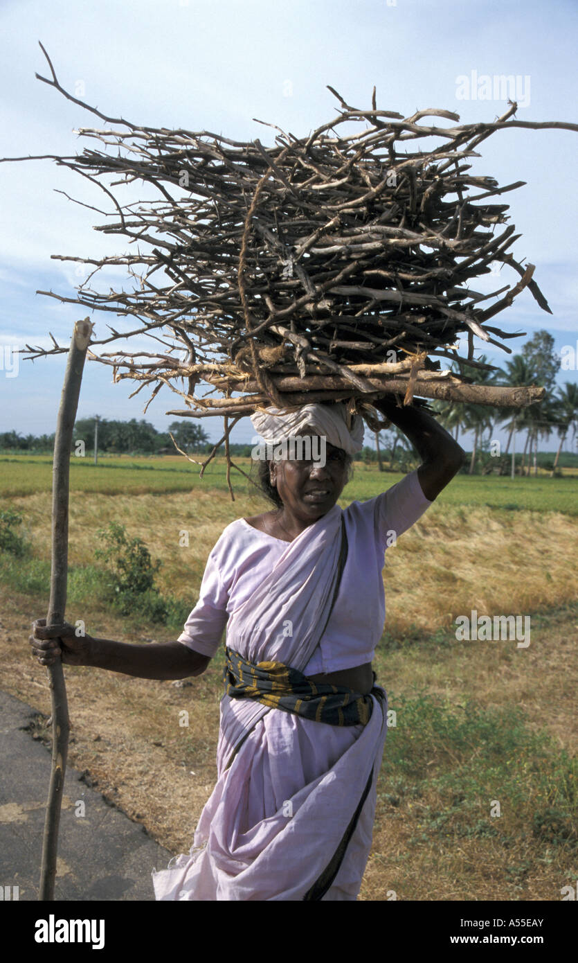 Woman carrying sticks hi-res stock photography and images - Alamy