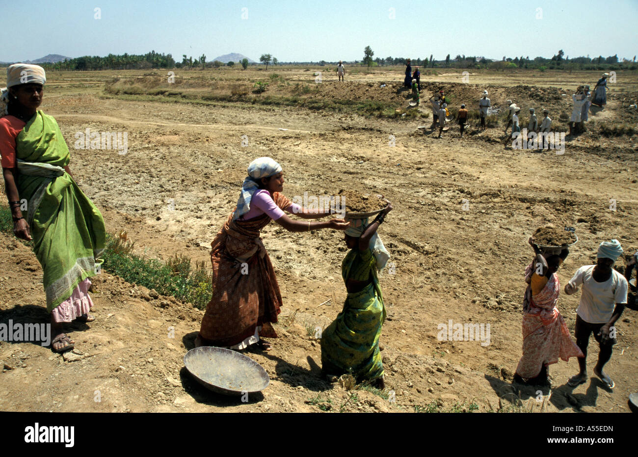 Group digging pond hi-res stock photography and images - Alamy