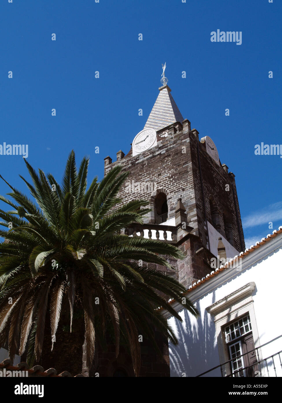 Funchal, church, palm Stock Photo - Alamy