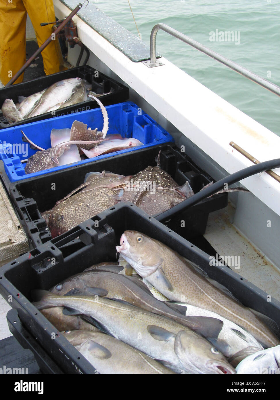 Fishing grounds in the north sea hi-res stock photography and images ...