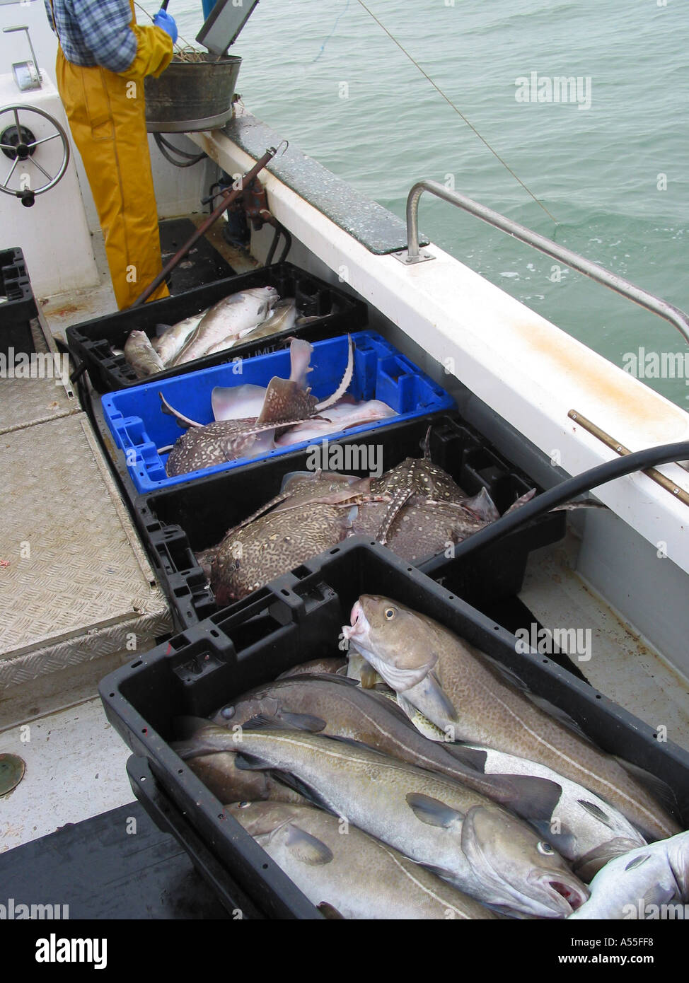 Fishing grounds in the north sea hi-res stock photography and images ...