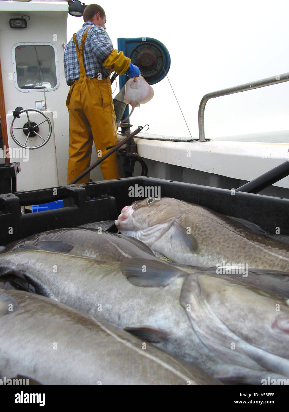 Fishing grounds in the north sea hi-res stock photography and images ...
