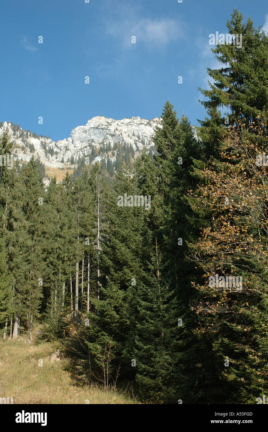 Alpine country shaft in the national park Berchtesgaden, Bavaria ...