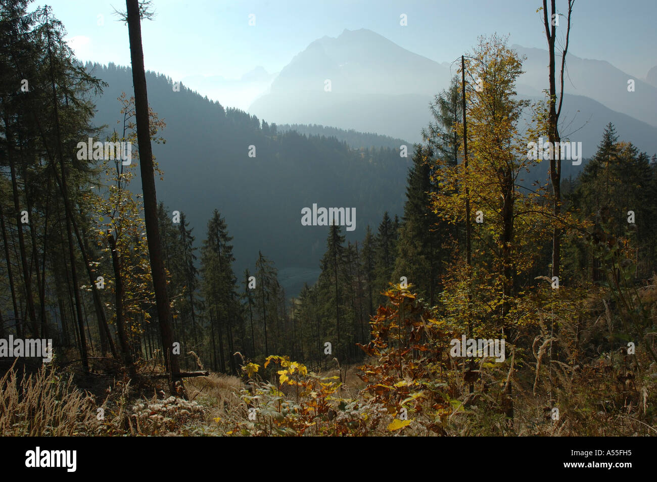 Alpine country shaft in the national park Berchtesgaden, Bavaria ...