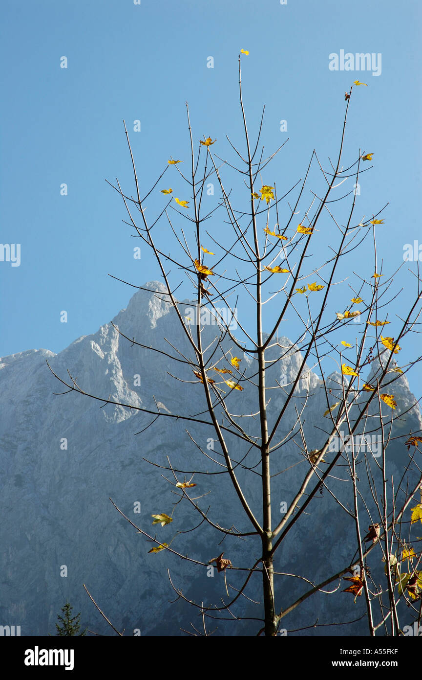 Fall atmosphere in the national park Berchtesgaden, Bavaria, Germany ...