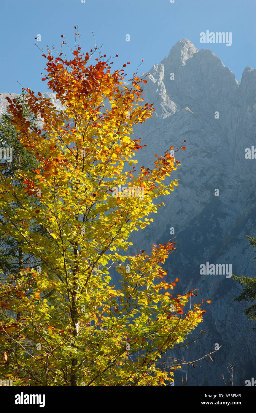 Fall atmosphere in the national park Berchtesgaden, Bavaria, Germany ...