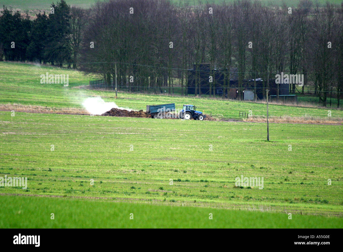Steaming pile of manure dumped by a tractor and trailer Stock Photo - Alamy