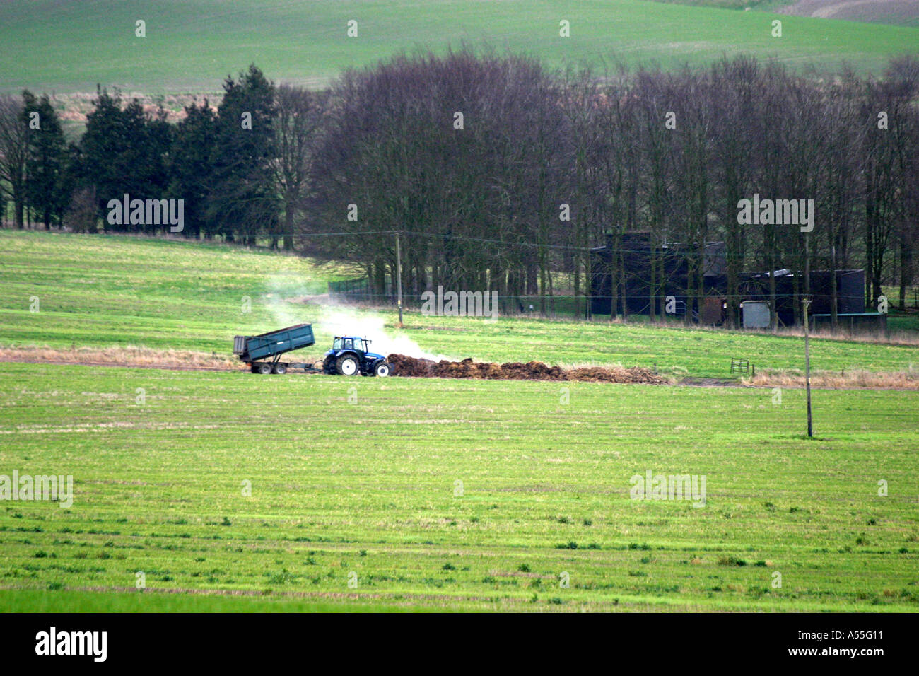 Steaming pile of manure dumped by a tractor and trailer Stock Photo - Alamy