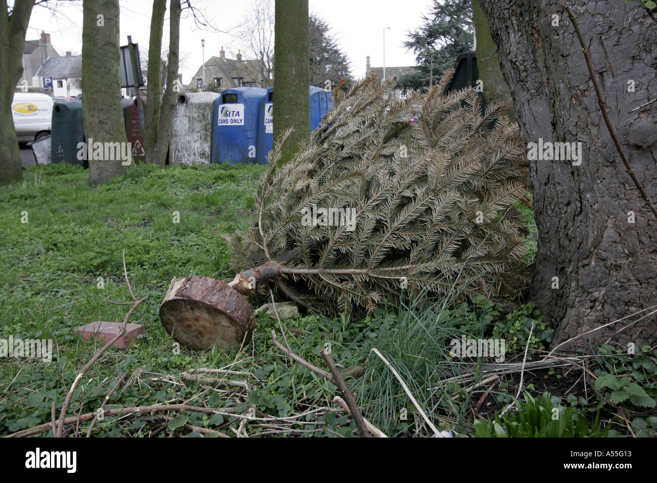Christmas tree dumped uk hi-res stock photography and images - Alamy