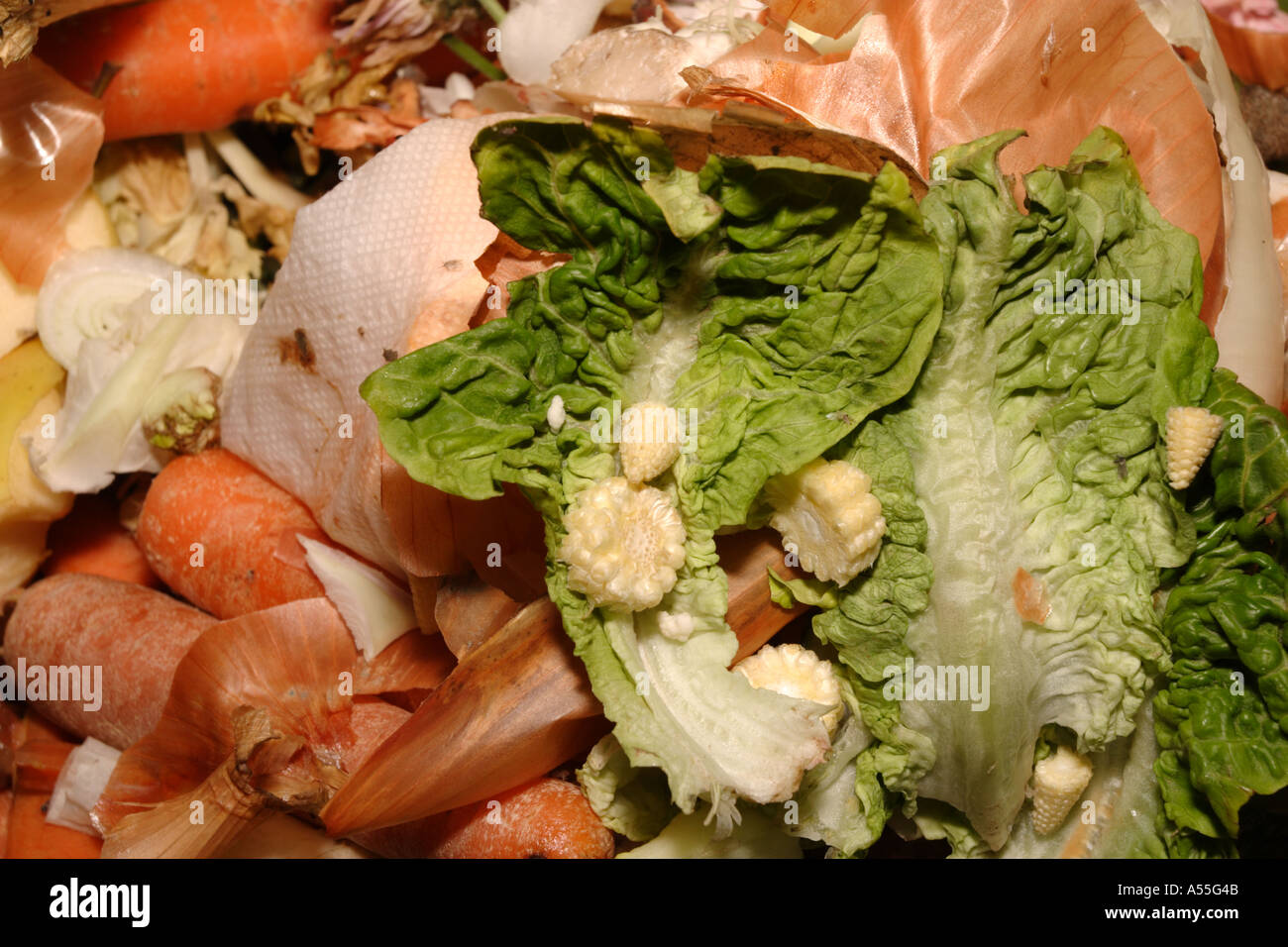 Fresh fruit for rotting vegetables hi-res stock photography and images ...