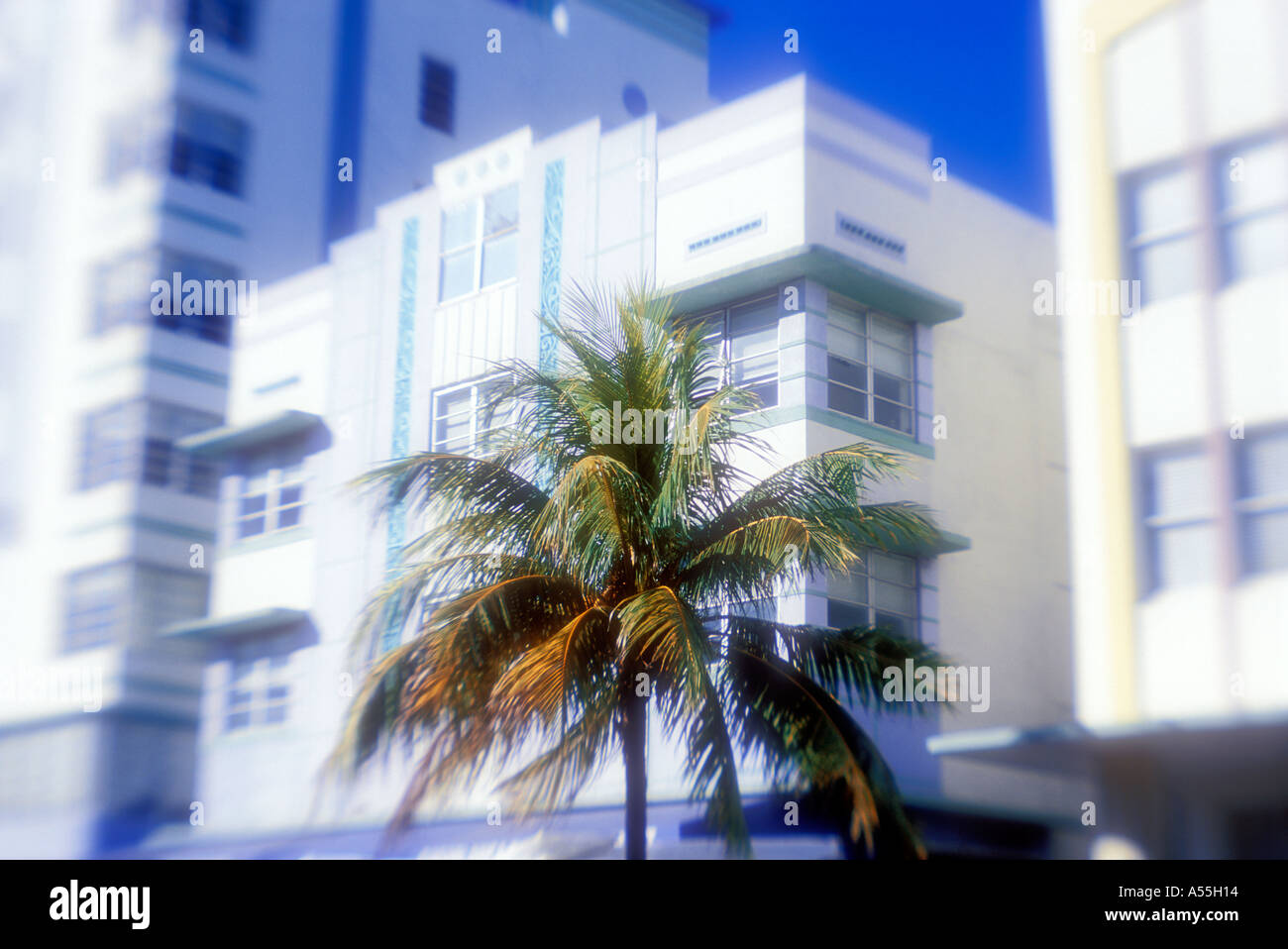 On the beach in miami hi-res stock photography and images - Alamy
