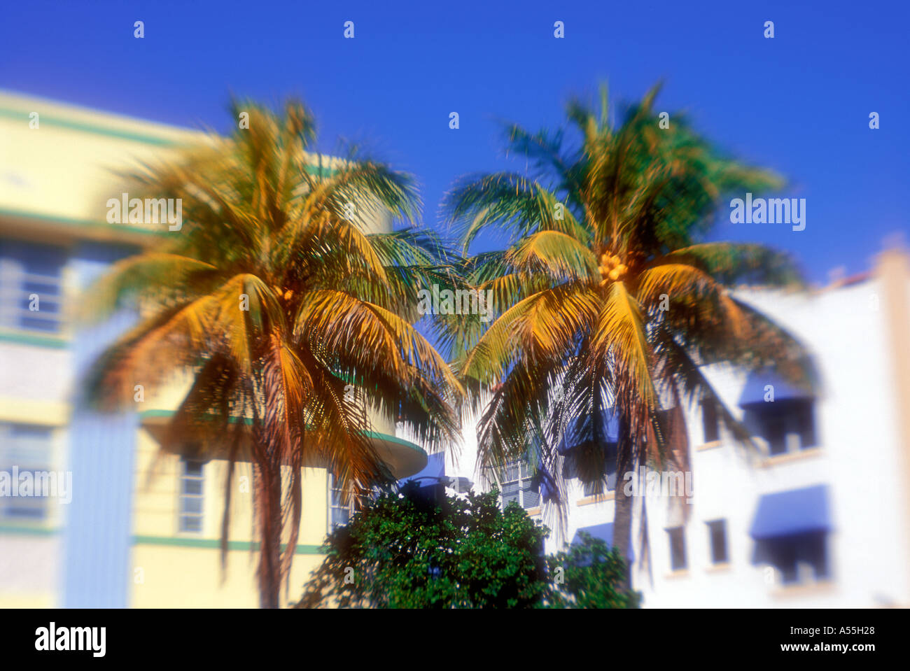 South beach in miami hi-res stock photography and images - Alamy