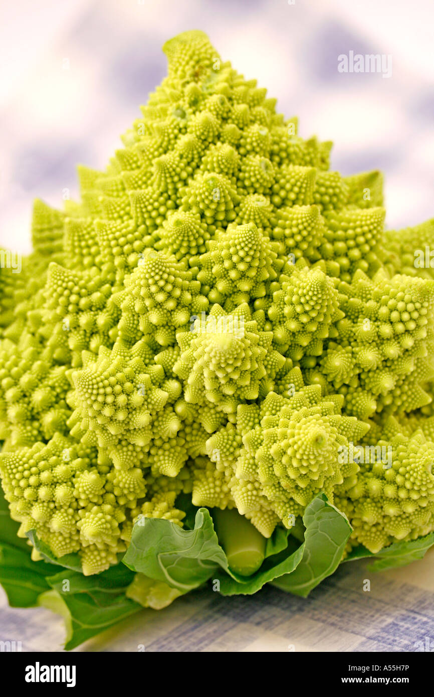 Romanescu broccoli hi-res stock photography and images - Alamy