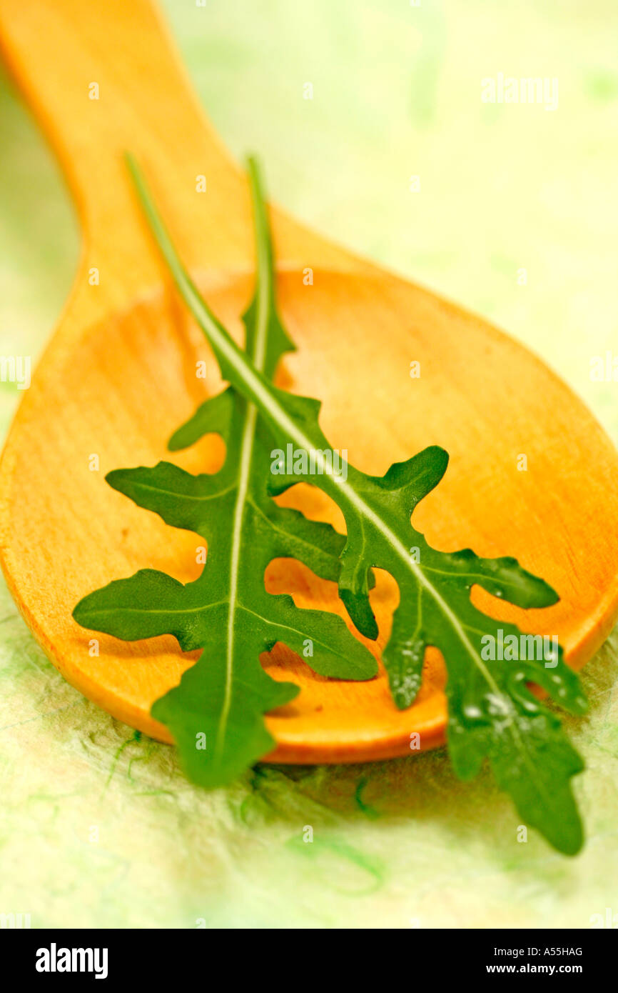 Wild foods idea hi-res stock photography and images - Alamy