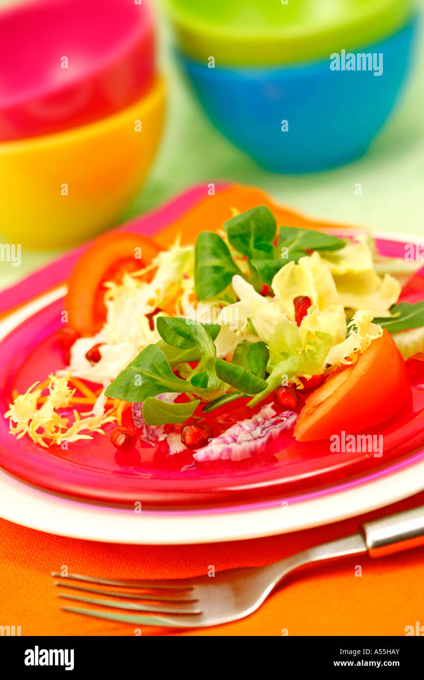 Escarole endives hi-res stock photography and images - Alamy