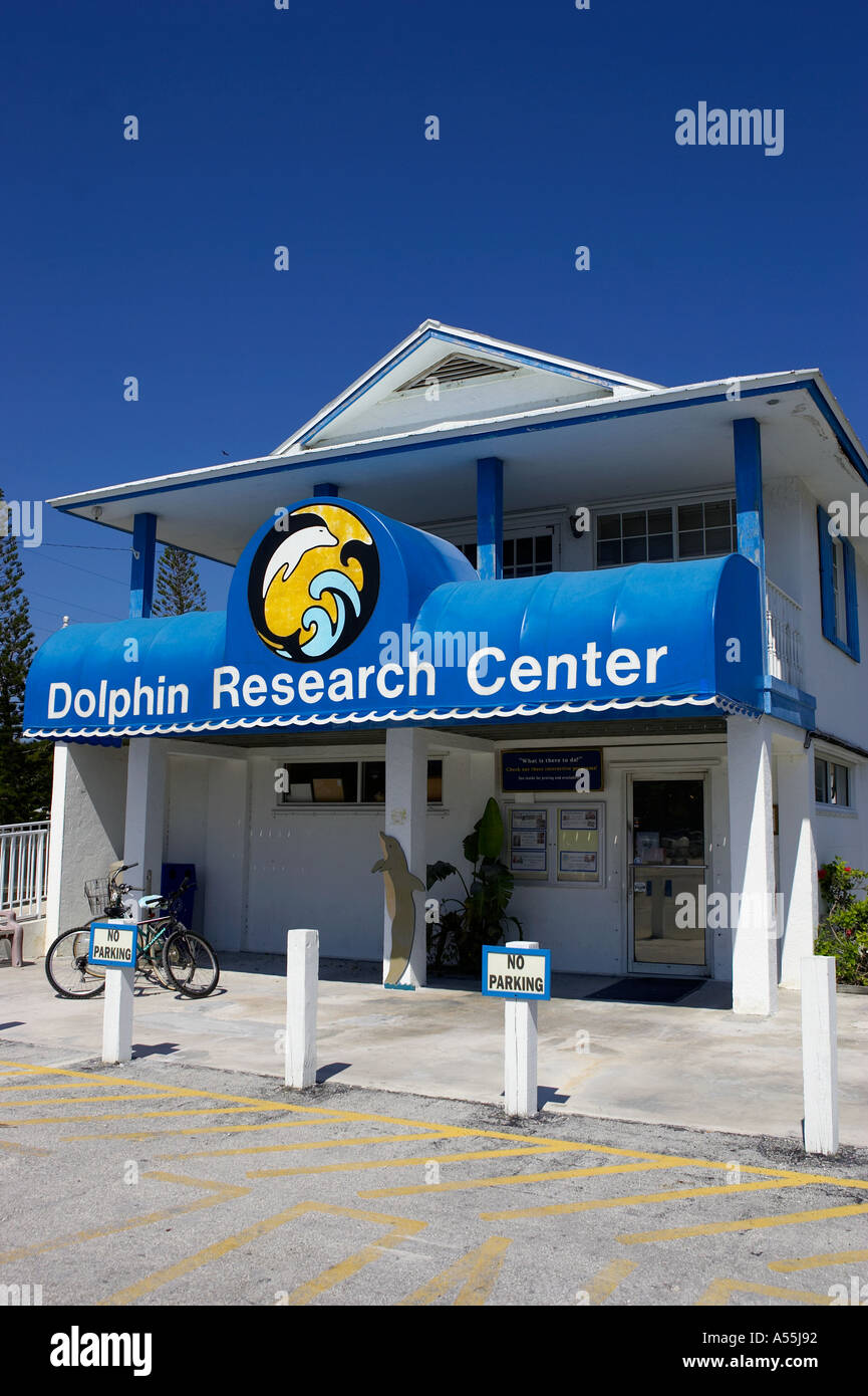 Dolphin research hi-res stock photography and images - Alamy