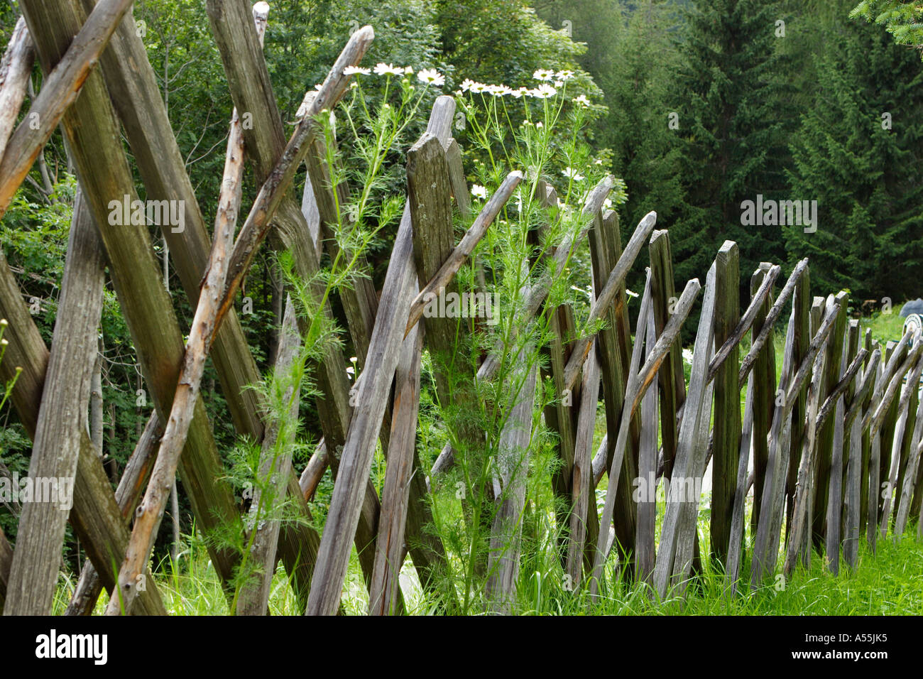 Traditional wooden fence near Heiligenblut Carinthia Austria Stock ...