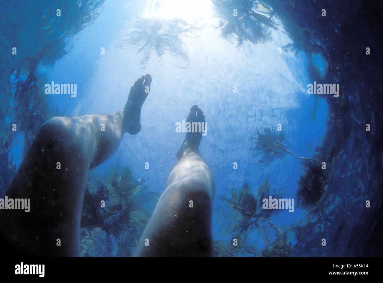 Underwater upward view of mans legs and feet Model Released Photo Stock ...