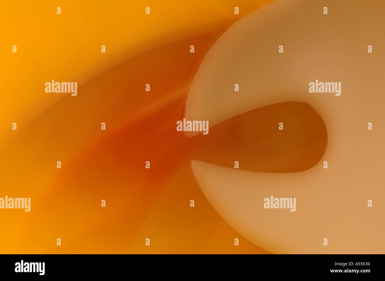 yellow form study art Stock Photo - Alamy