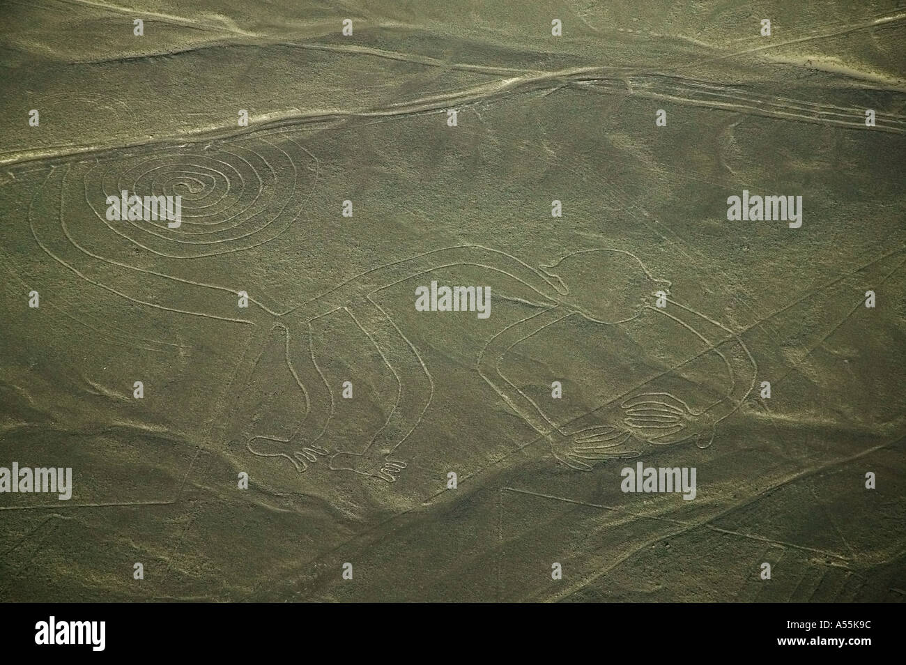 Aerial view of howler monkey drawing Nazca Lines Peru Stock Photo - Alamy