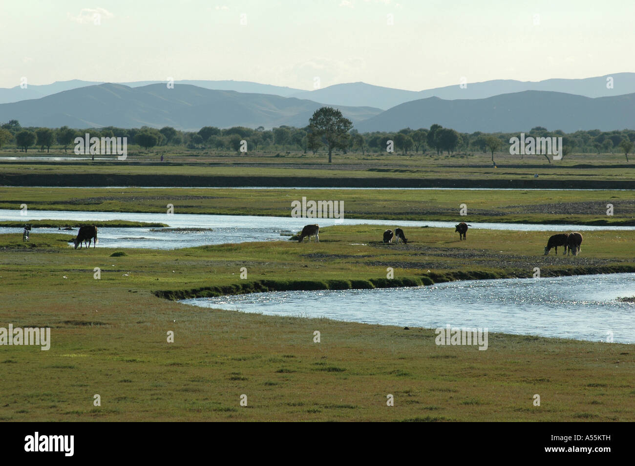Painet is1428 mongolia river landscape ulaan baatar country developing ...