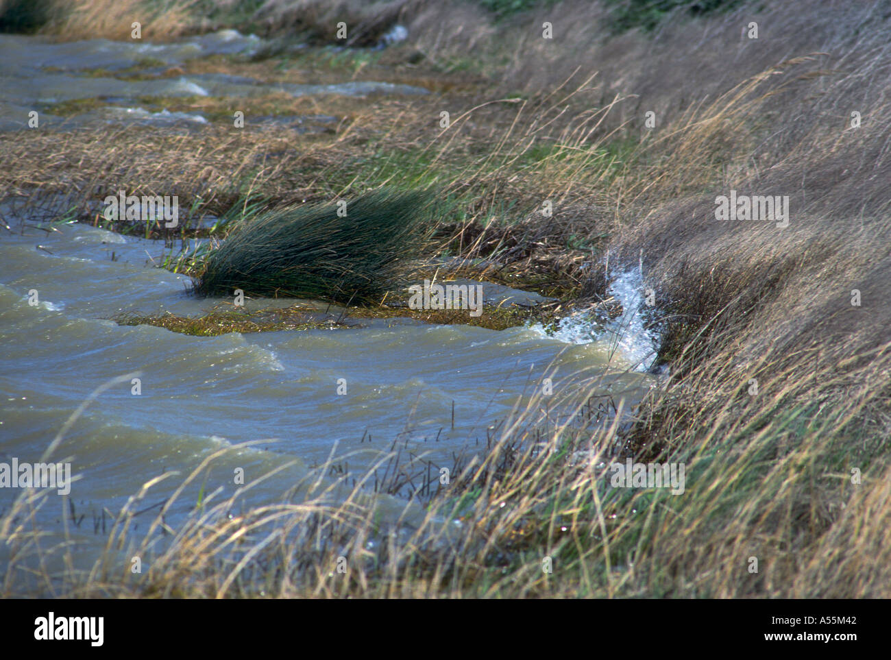 Windy ponds pools lakes lagoons hi-res stock photography and images - Alamy