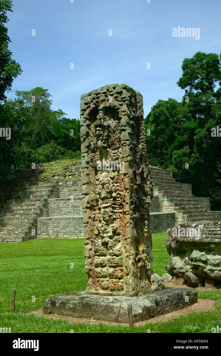 18 rabbit copan hi-res stock photography and images - Alamy