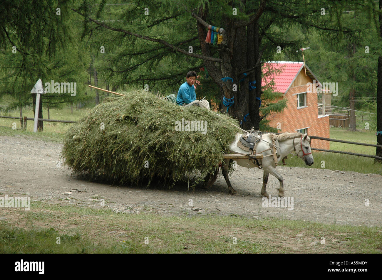 Hay cart hi-res stock photography and images - Alamy