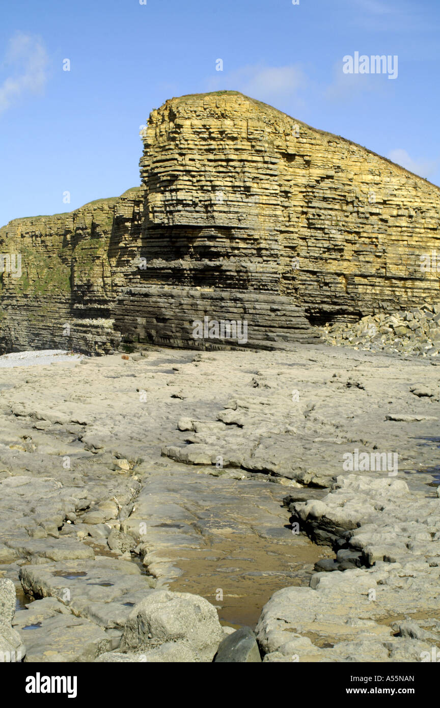 lias limestone cliffs nash point glamorgan heritage coast vale of ...