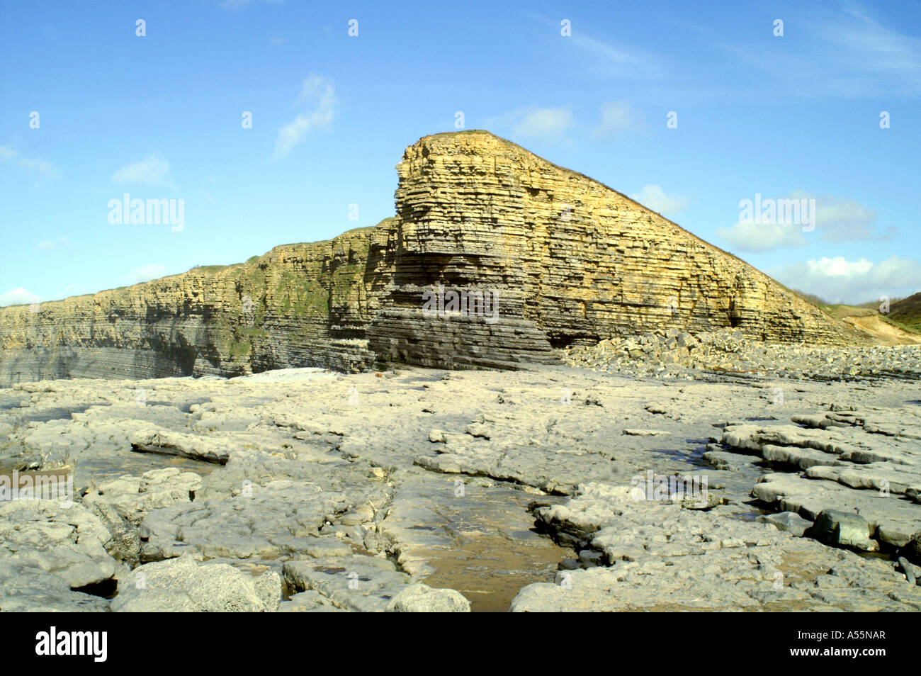 lias limestone cliffs nash point glamorgan heritage coast vale of ...