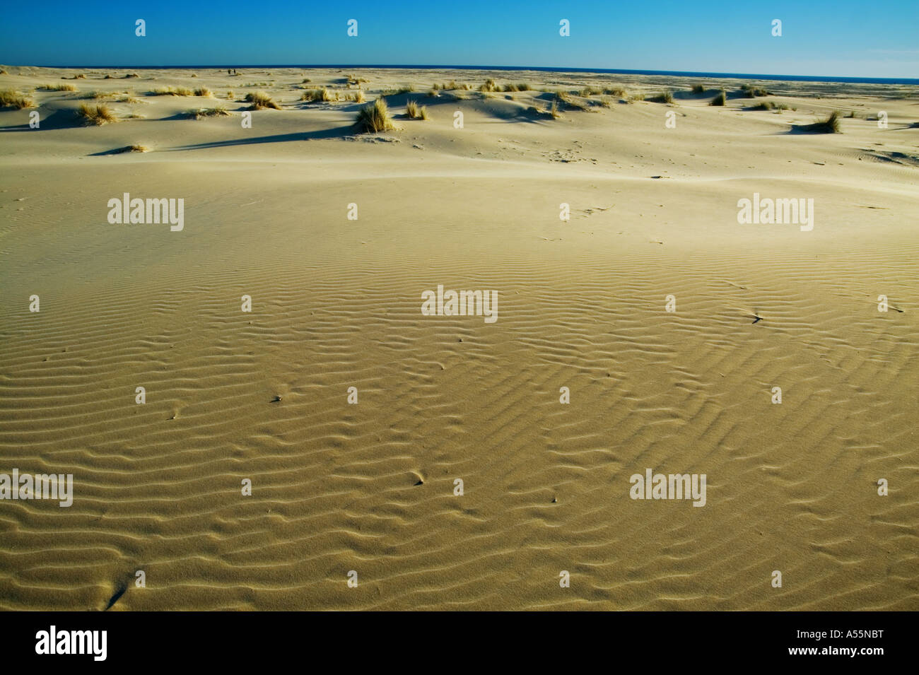 ESPIGUETTE BEACH - GARD - LANGUEDOC-ROUSSILLON - FRANCE Stock Photo - Alamy