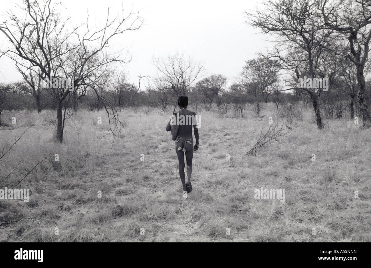 Bushman hunting san people traditional hi-res stock photography and ...