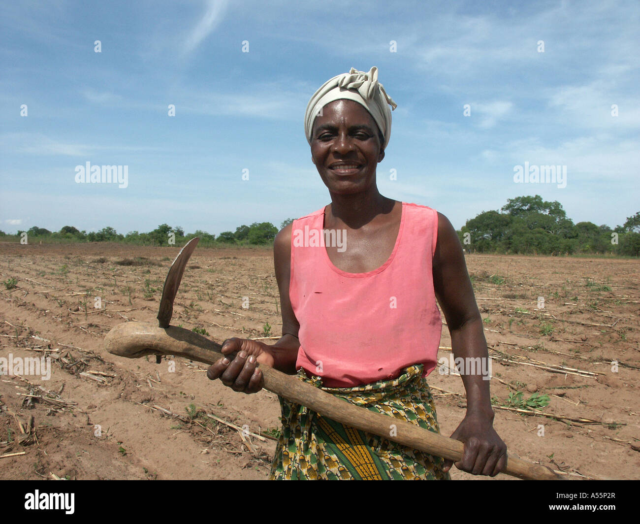 Breeding hoe hi-res stock photography and images - Alamy