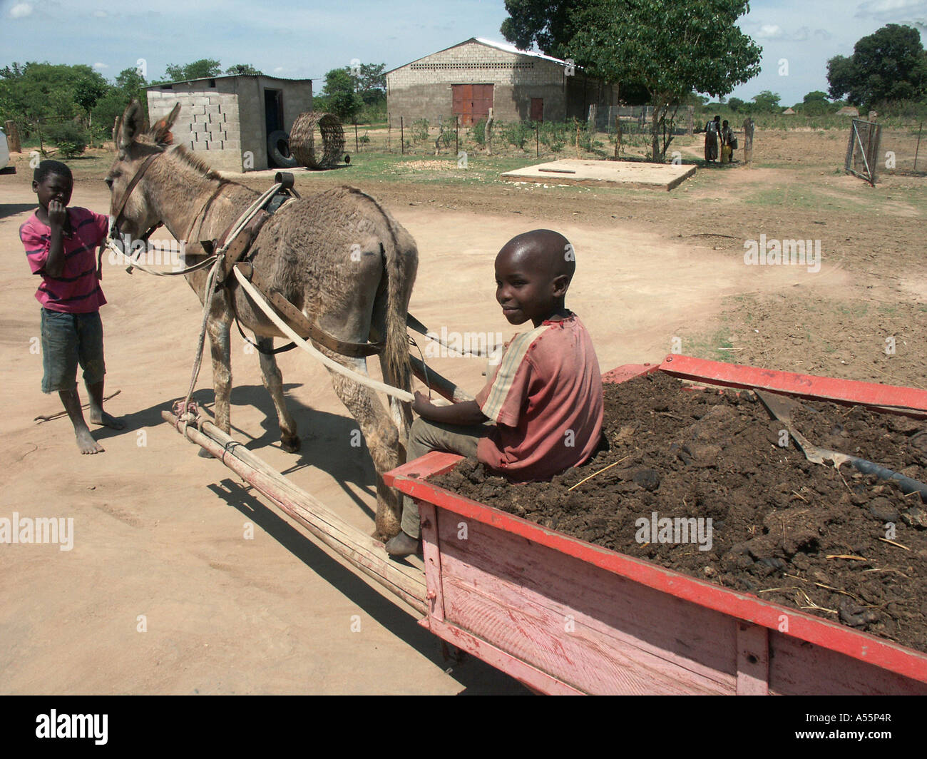 Pulling cart hi-res stock photography and images - Alamy