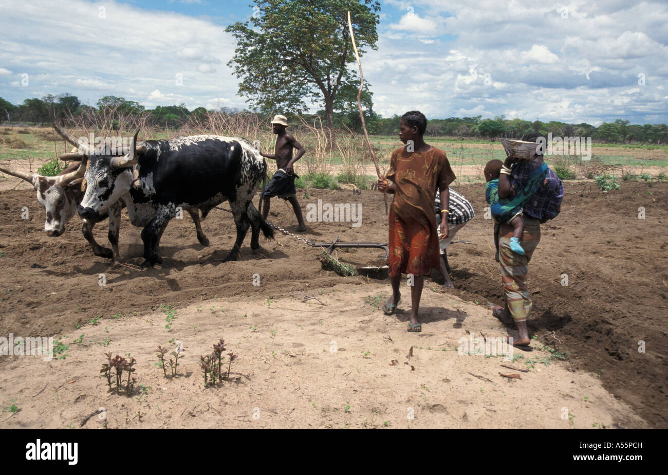 Ploughing field hi-res stock photography and images - Alamy