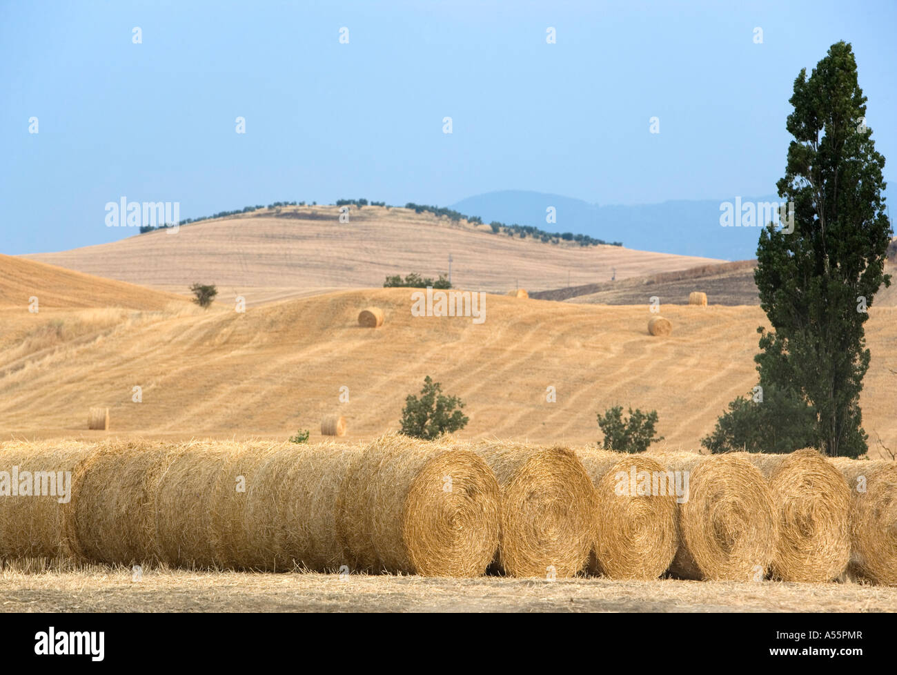 Hay bales in a row Near Pienza Southern Tuscany Italy Stock Photo - Alamy
