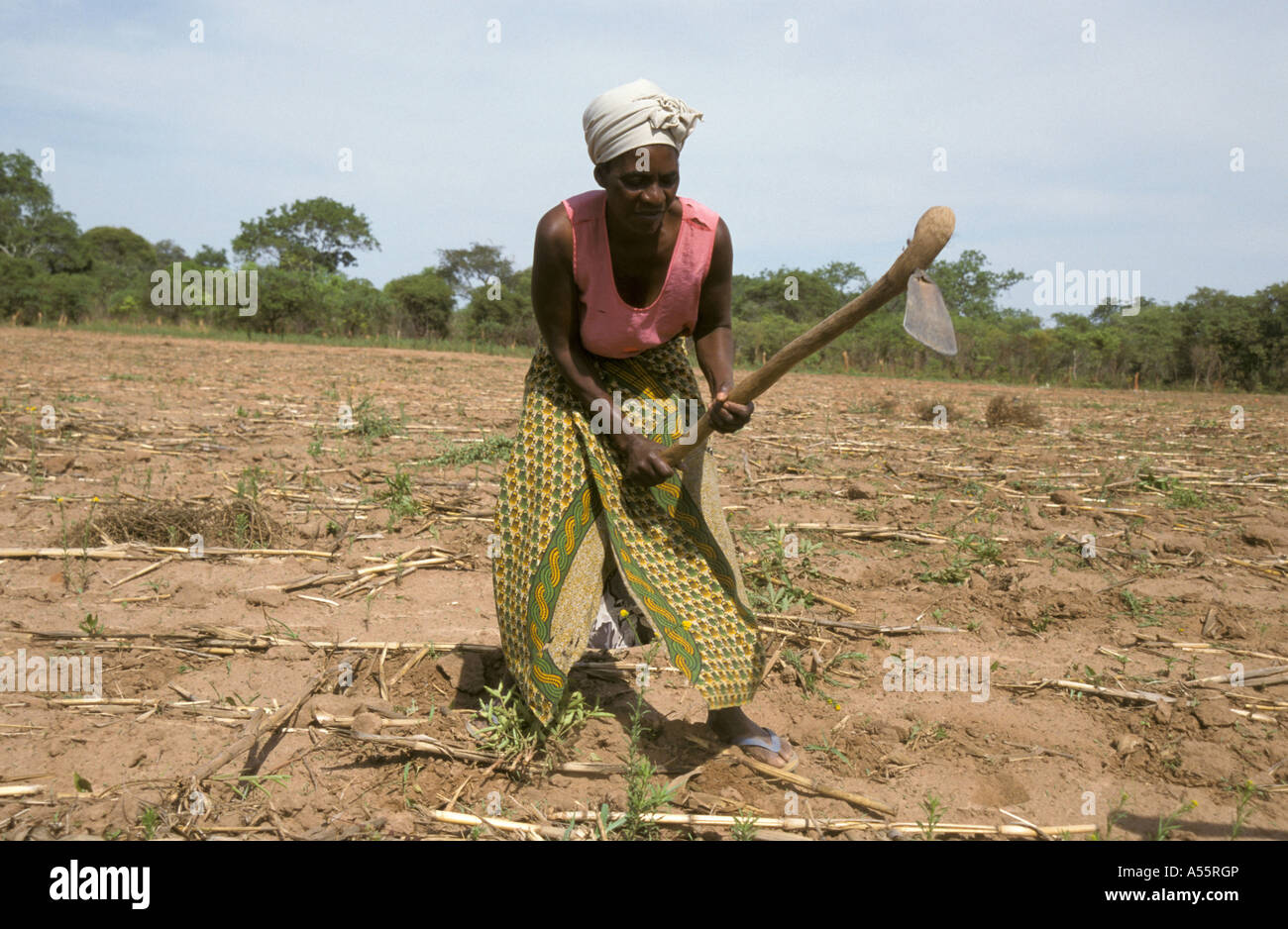 Hoeing hi-res stock photography and images - Alamy