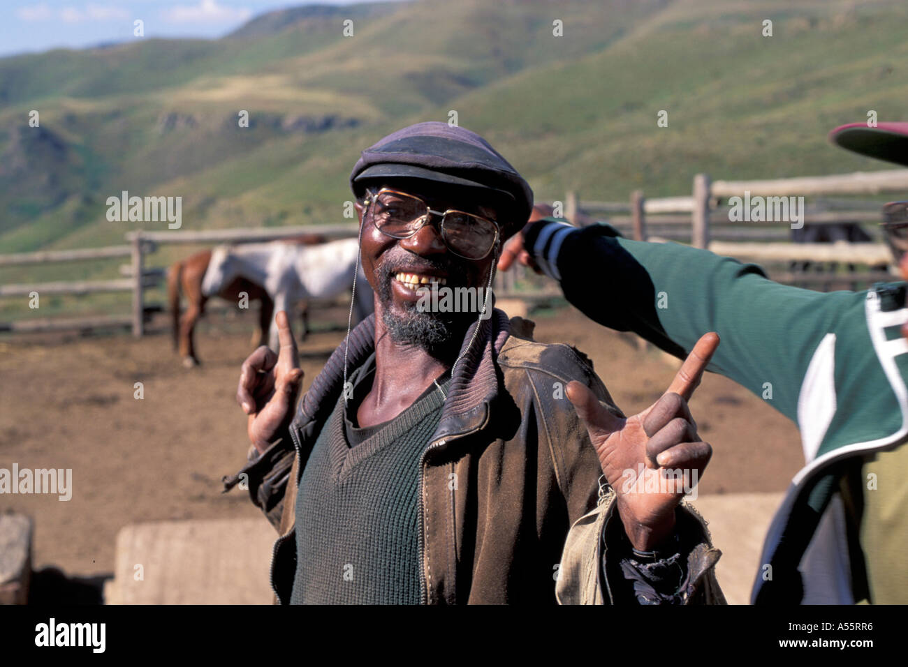 Lesotho cattle hi-res stock photography and images - Alamy