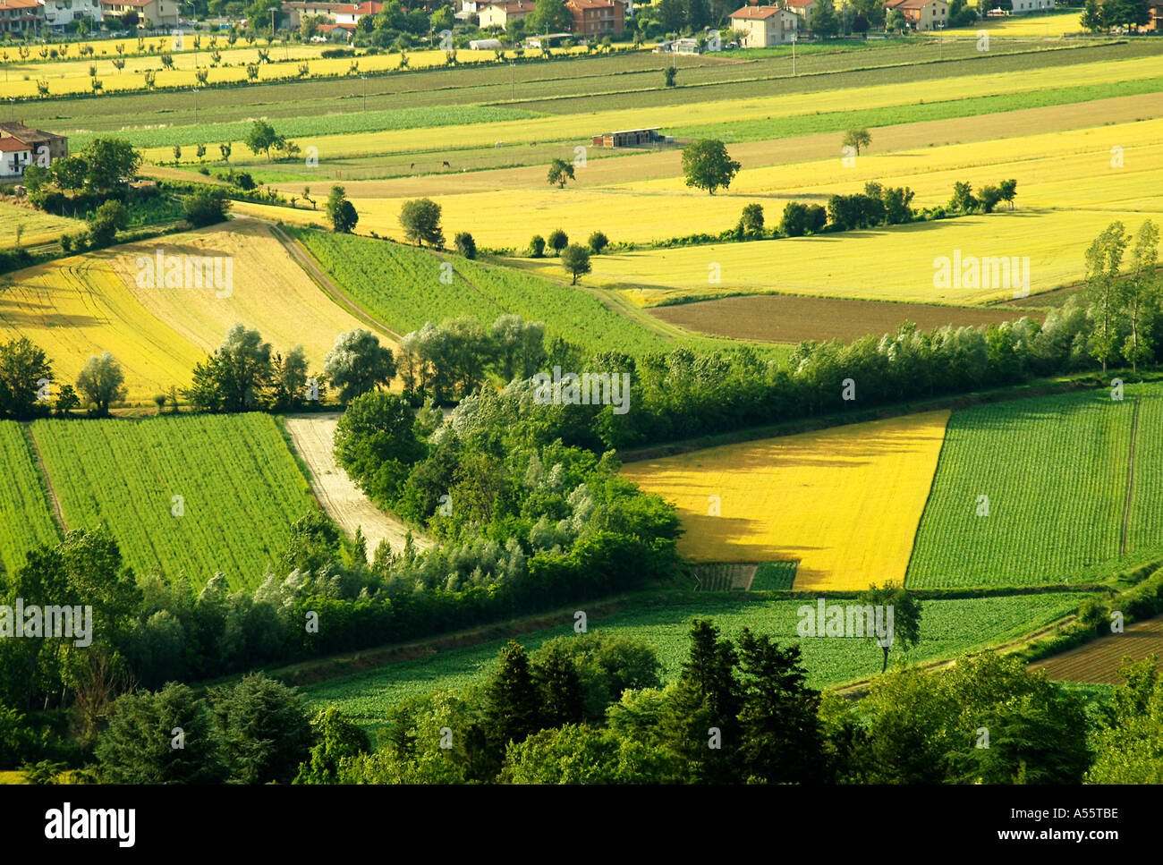 Geometric fields of green and gold Stock Photo - Alamy