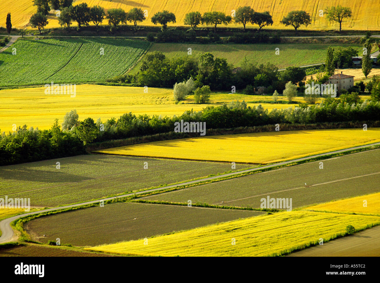 Geometric fields of green and gold Stock Photo - Alamy