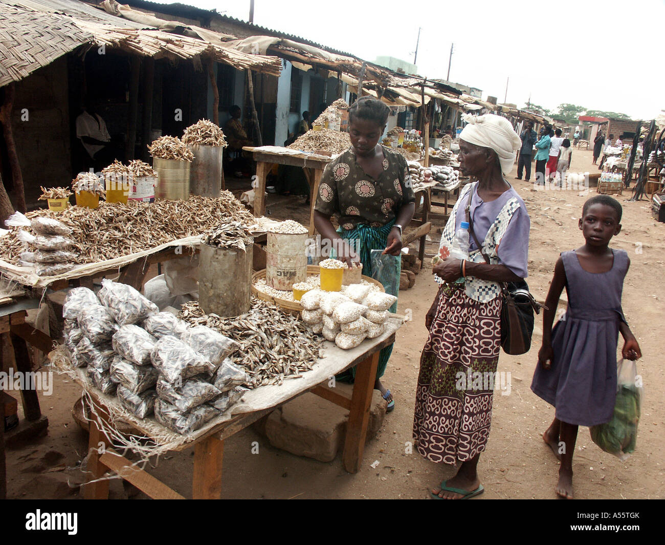 Painet is1737 zambia selling dried fish outdoor market chongwe country ...