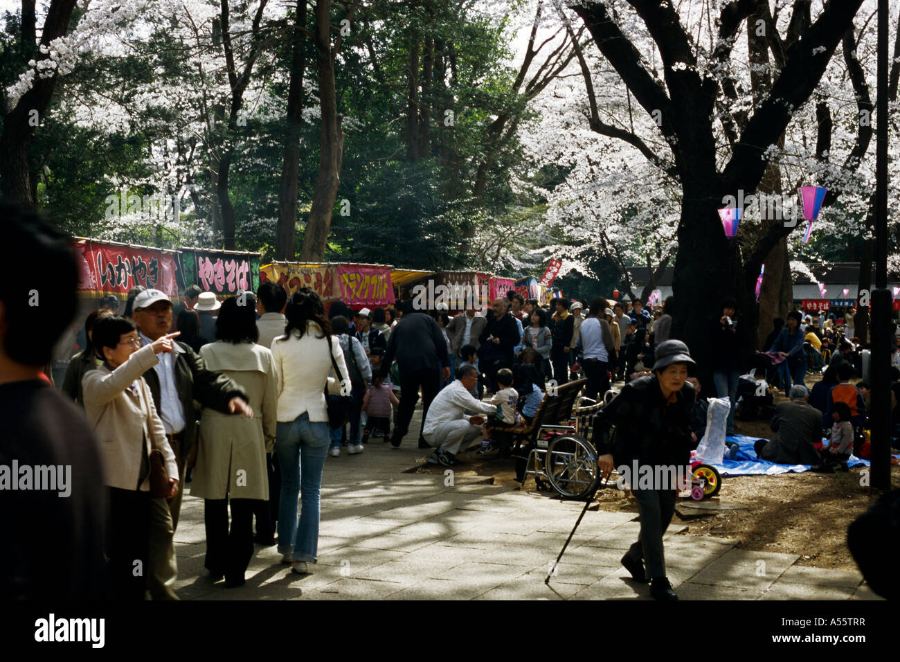 People visiting the Hanami festival in Saitama Japan Stock Photo - Alamy