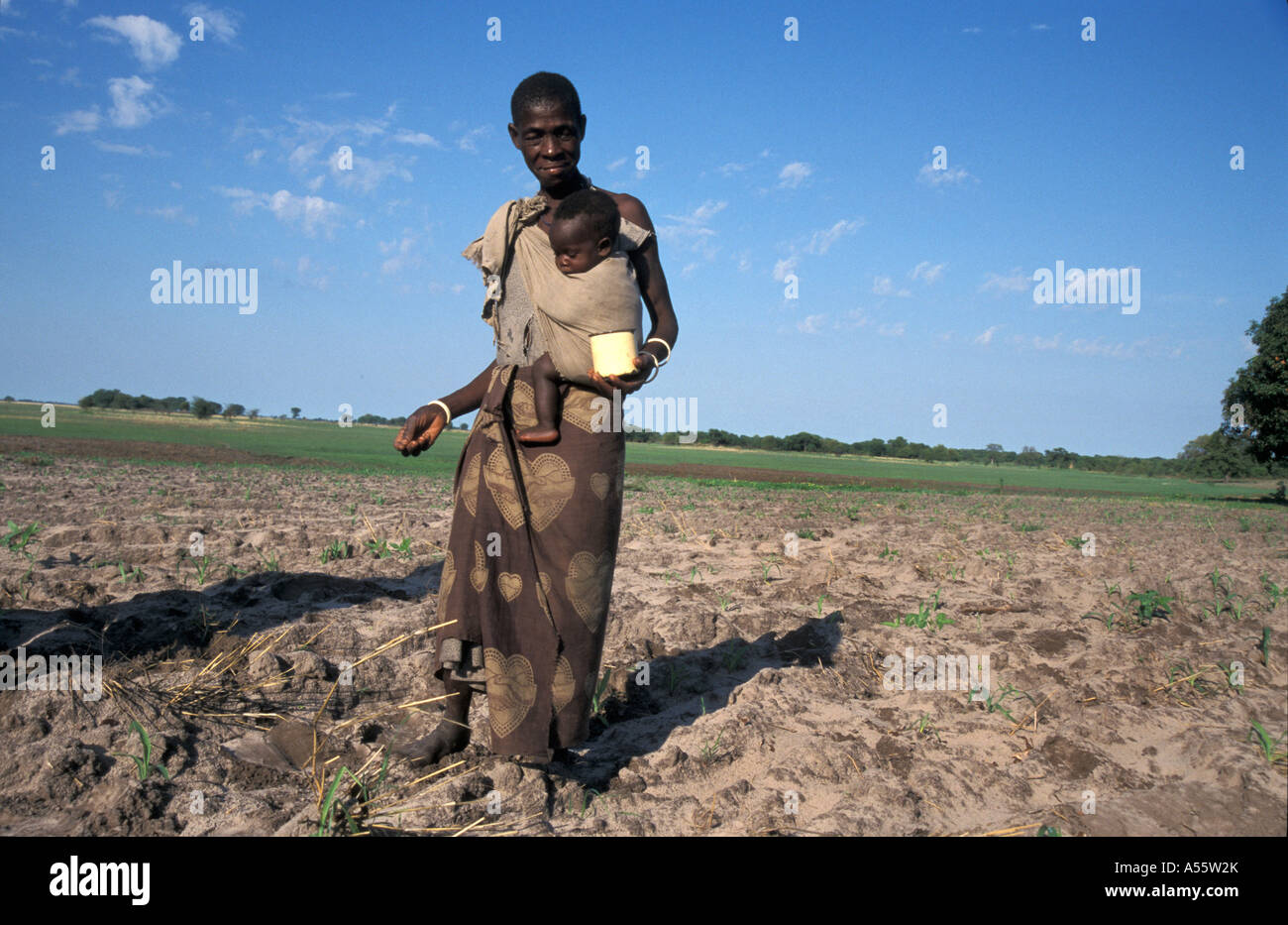 Painet is1763 zambia woman carrying child plants maize seeds kaunga ...