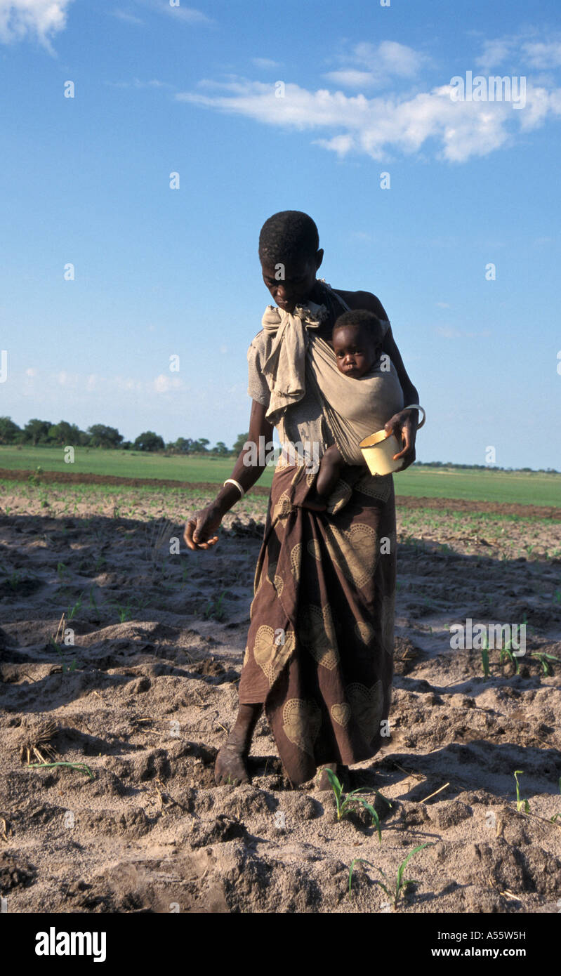 Painet is1770 zambia woman carrying child plants maize seeds kaunga ...