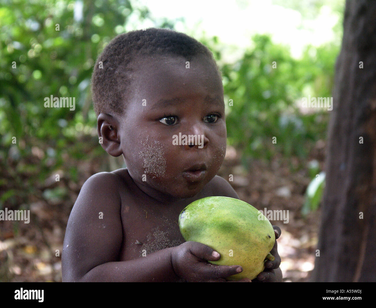 Boy eating mango hi-res stock photography and images - Alamy