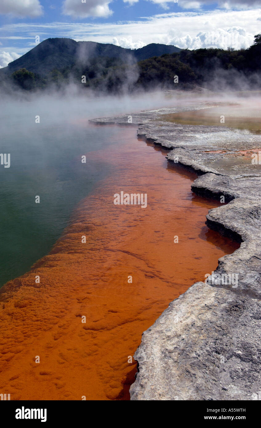 Heat resistant orange algae growing in very hot water around the edge ...