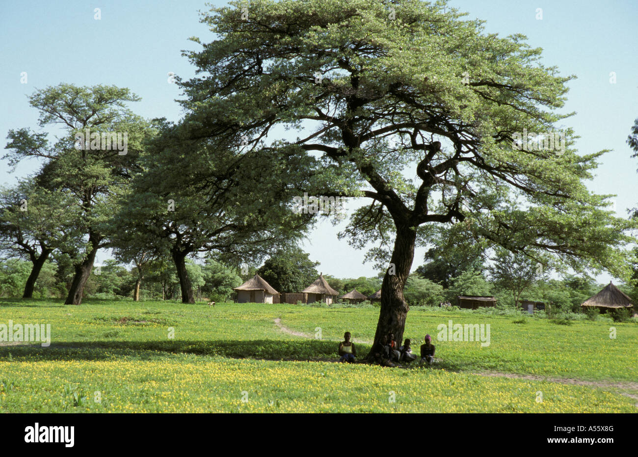 Kaunga hi-res stock photography and images - Alamy