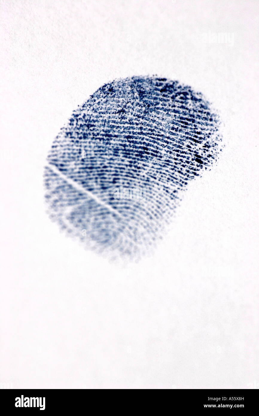 thumb print on white background Stock Photo - Alamy